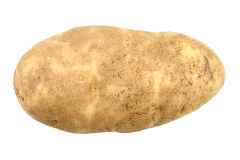 Photoshop Project: Mister Vegetable Head – LBMS Media Lab