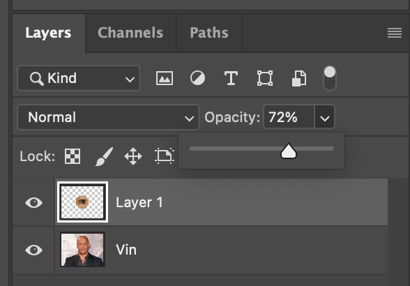 Photoshop Project: Frankenface (2024) – LBMS Media Lab