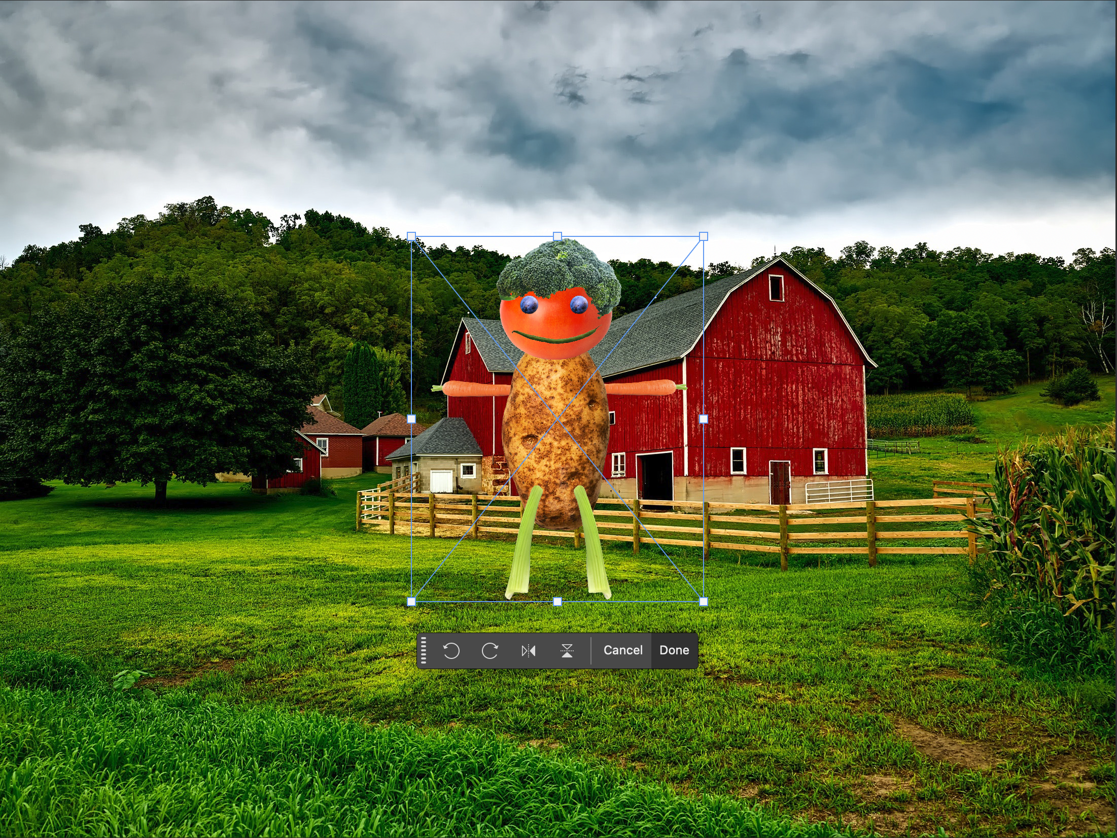 Photoshop project: My Creature – LBMS Media Lab